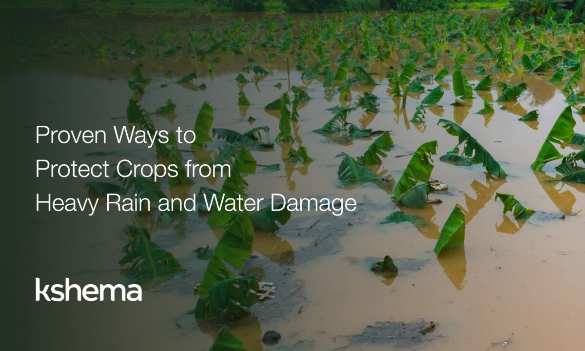 Proven Ways to Protect Crops from Damage – Farmer Guide 2026