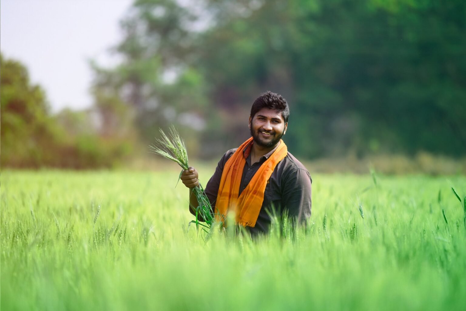Best Crop Insurance Plans in India 2025 | Compare & Save