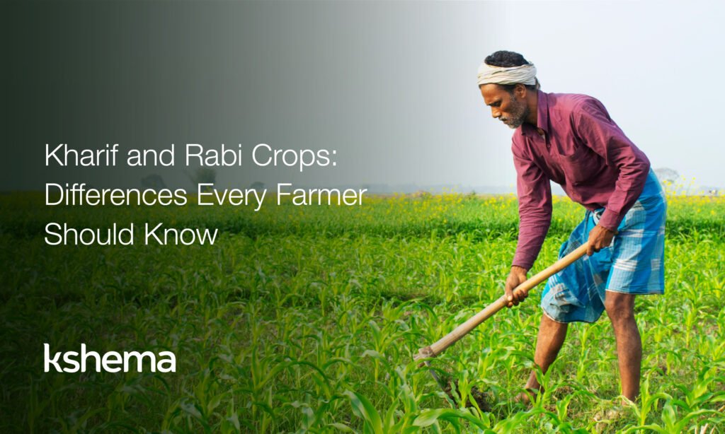 Kharif and Rabi Crops: Differences, Seasons Explained