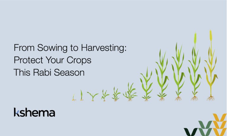 Rabi Season Crop Insurance Benefits for Indian Farmers in 2026