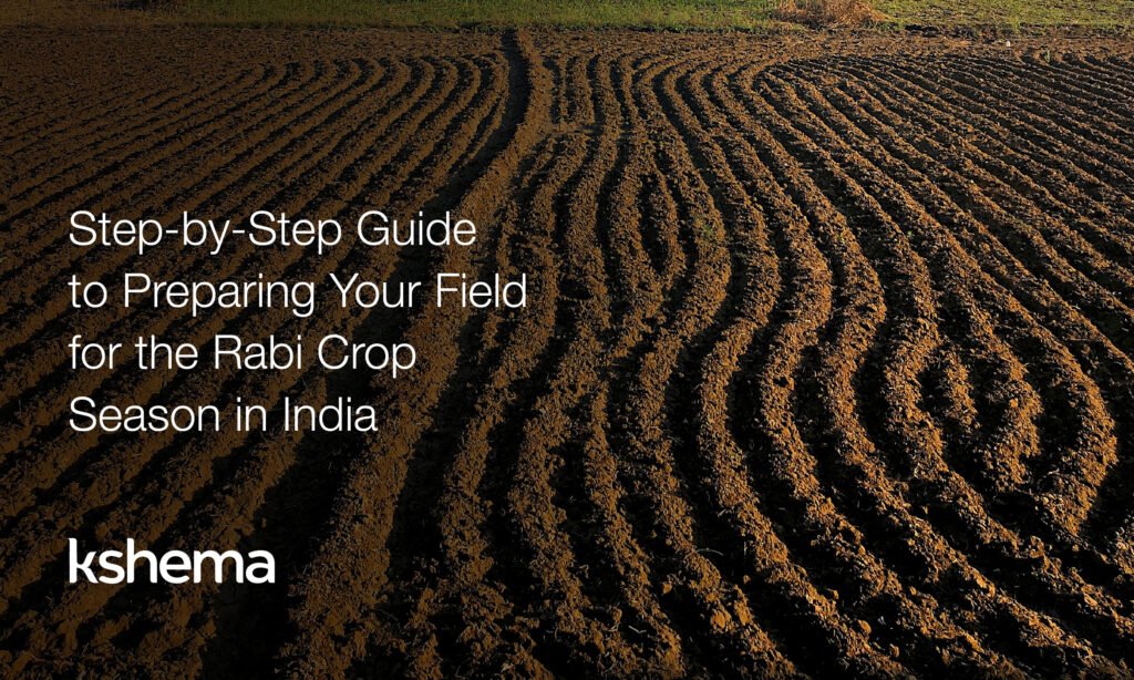 Rabi Crop Season: 5 Key Crops, Sowing Time & Preparation Tips