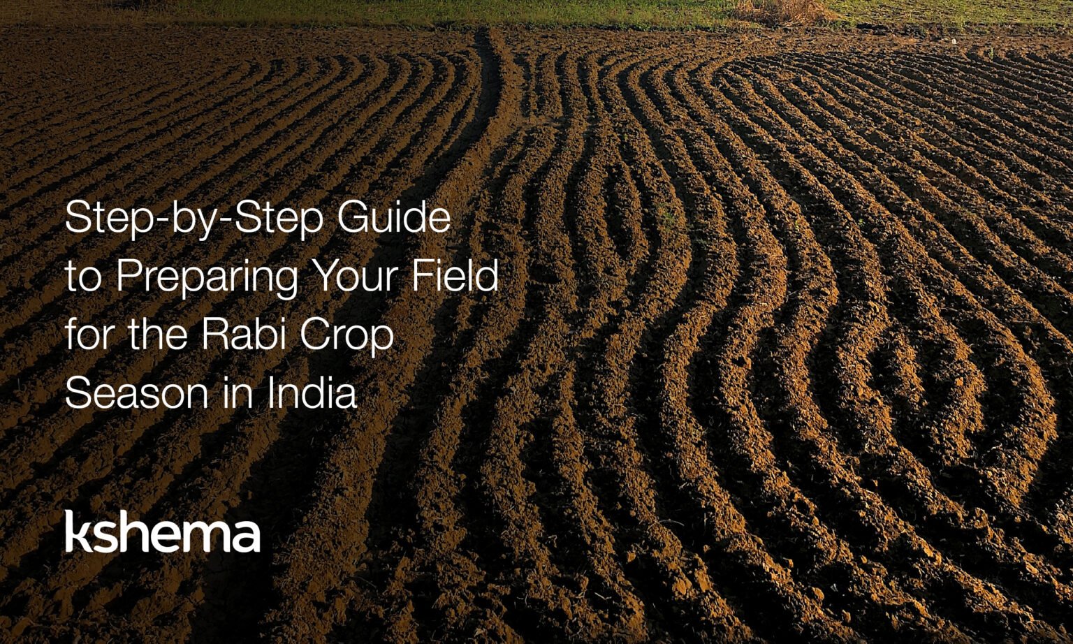 Rabi Crop Season: 5 Key Crops, Sowing Time & Preparation Tips