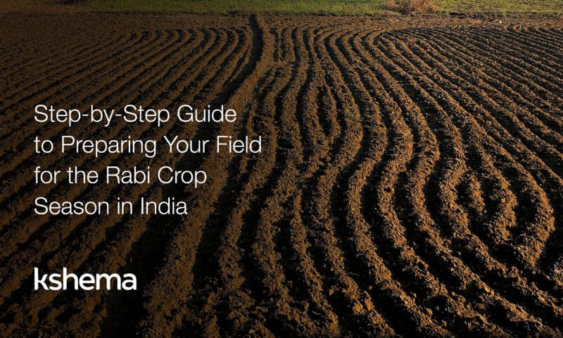 Rabi Crop Season: 5 Key Crops, Sowing Time & Preparation Tips