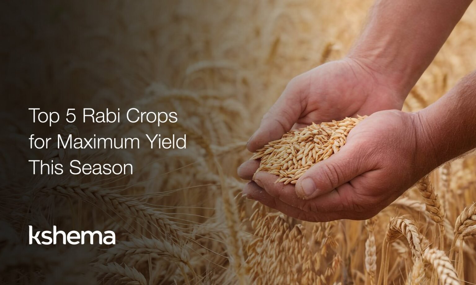 Best Rabi Crops 2026: Top Examples & Guide