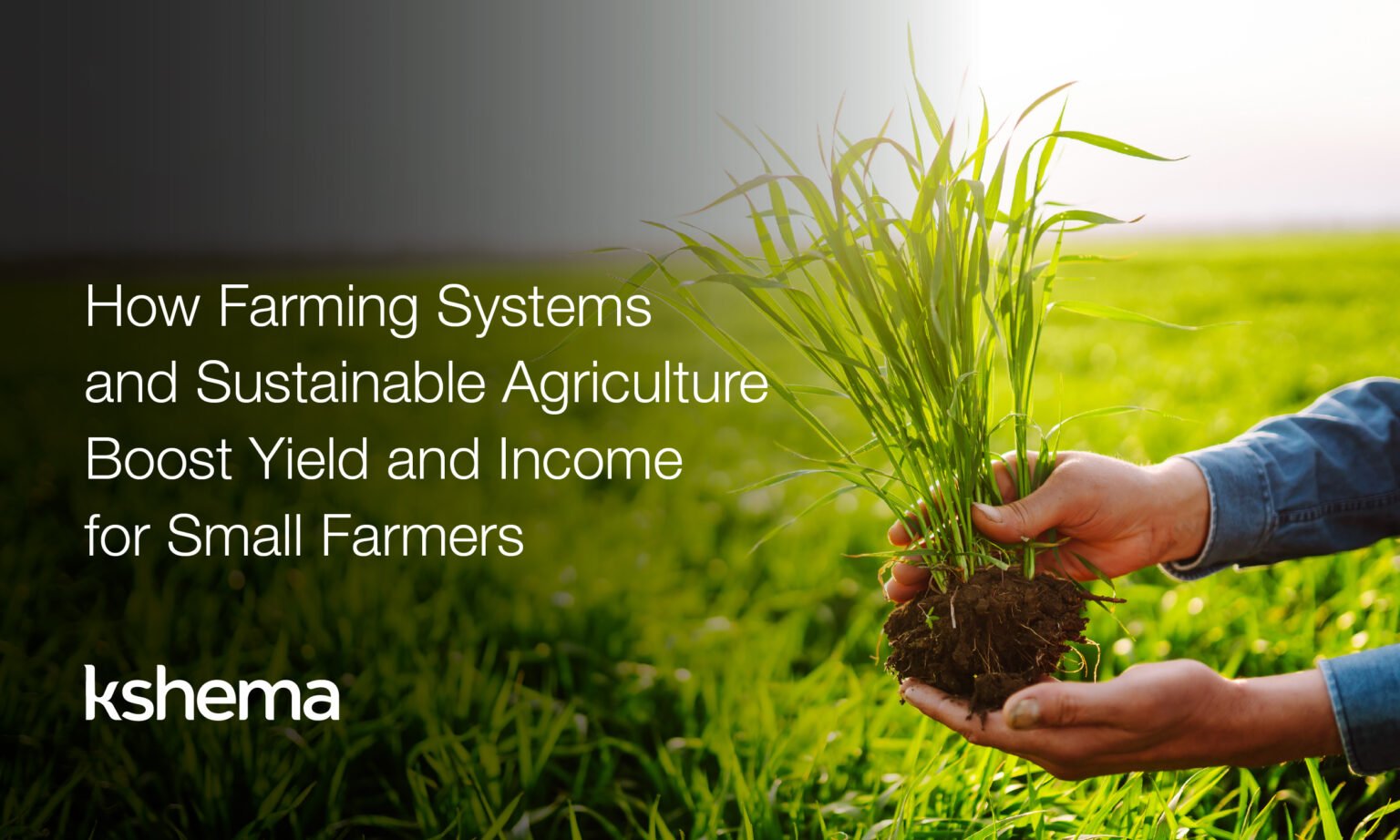 Farming Communities: Role, Benefits & Why They Matter in 2026